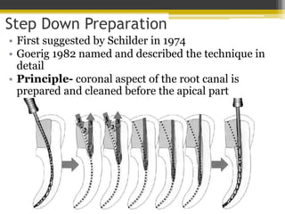 Cleaning and Shaping of Root Canal Systems | PPTX