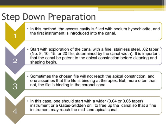 Cleaning and Shaping of Root Canal Systems | PPTX