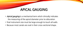 Cleaning and Shaping of the Root Canal System.pptx