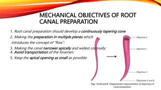 Cleaning and Shaping of the Root Canal System.pptx