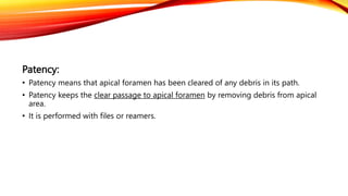 Cleaning and Shaping of the Root Canal System.pptx | Dental Health ...