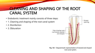 Cleaning and Shaping of the Root Canal System.pptx | Dental Health ...