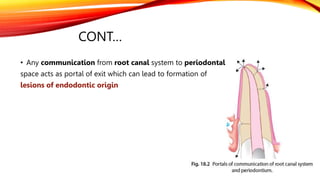 Cleaning and Shaping of the Root Canal System.pptx