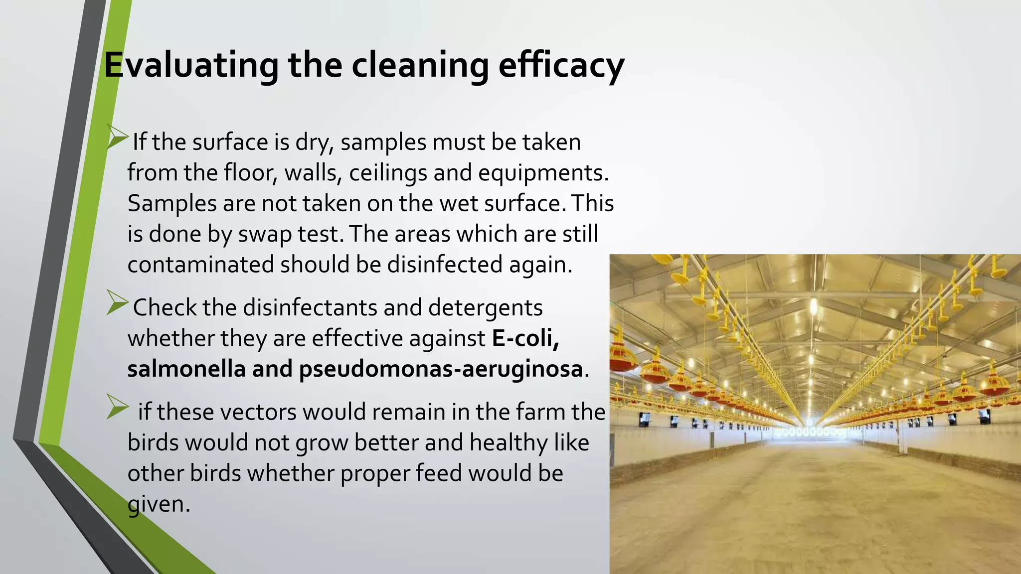 Cleaning & disinfection in poultry | PPTX