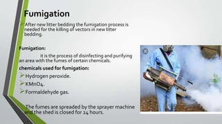 Cleaning & disinfection in poultry | PPTX