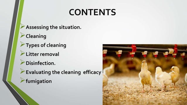 Cleaning & disinfection in poultry | PPTX | Indoor Environmental ...