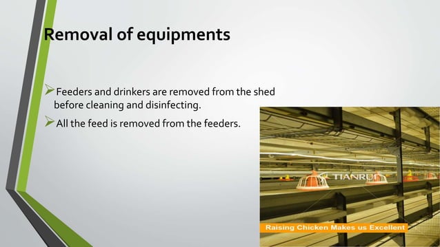 Cleaning & disinfection in poultry | PPTX | Indoor Environmental ...