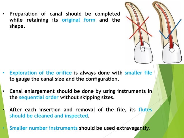 Cleaning & shaping of root canal sytem | PDF
