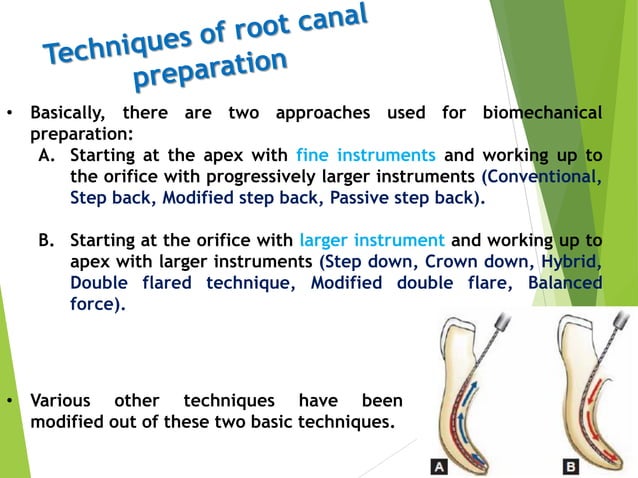 Cleaning & shaping of root canal sytem | PDF