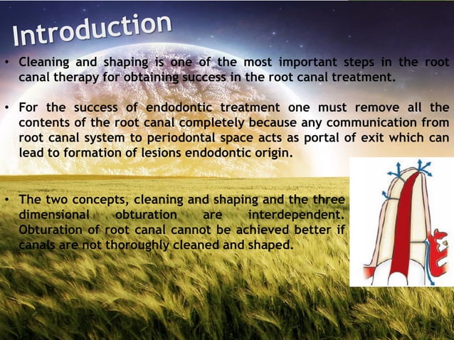 Cleaning & shaping of root canal sytem | PDF