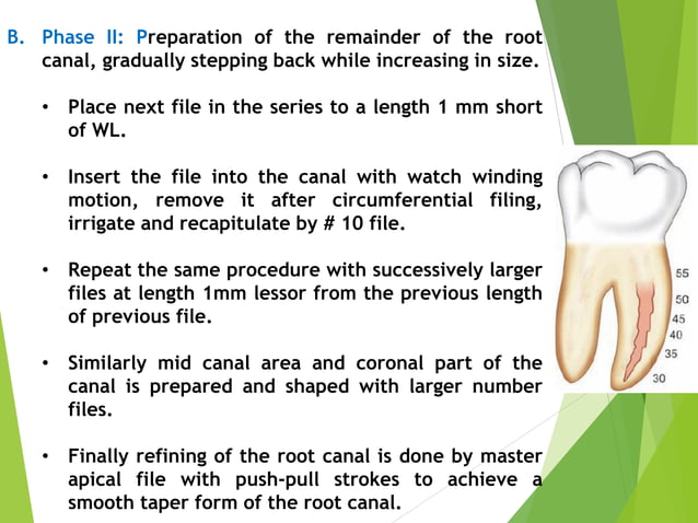 Cleaning & shaping of root canal sytem | PDF