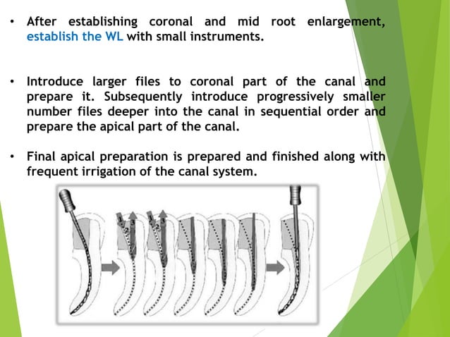 Cleaning & shaping of root canal sytem | PDF