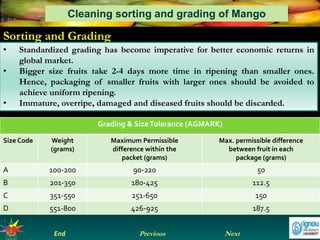 Cleaning, sorting and grading of mango 1 | PPT