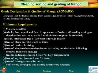 Cleaning, sorting and grading of mango 1 | PPT