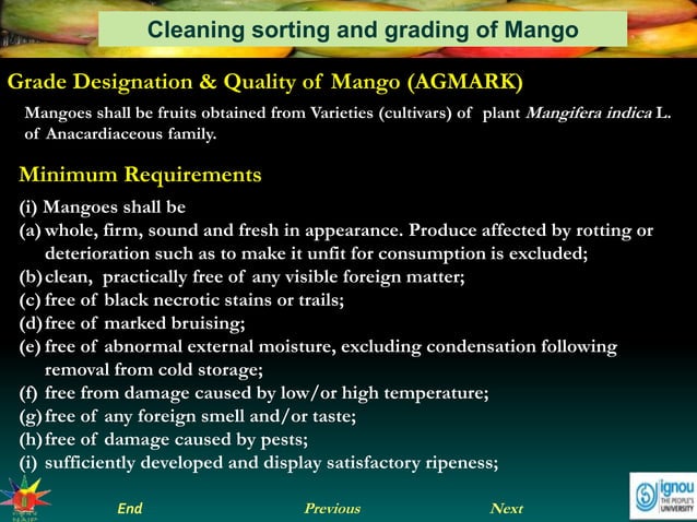 Cleaning, sorting and grading of mango 1 | PPT