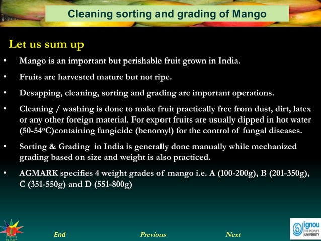 Cleaning, sorting and grading of mango 1 | PPT