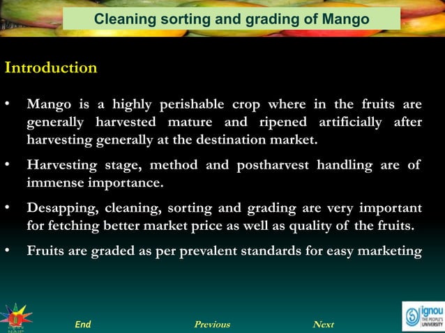 Cleaning, sorting and grading of mango 1 | PPT