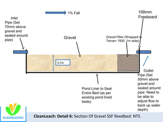 Salix Cleanleach Reciplical | PPT