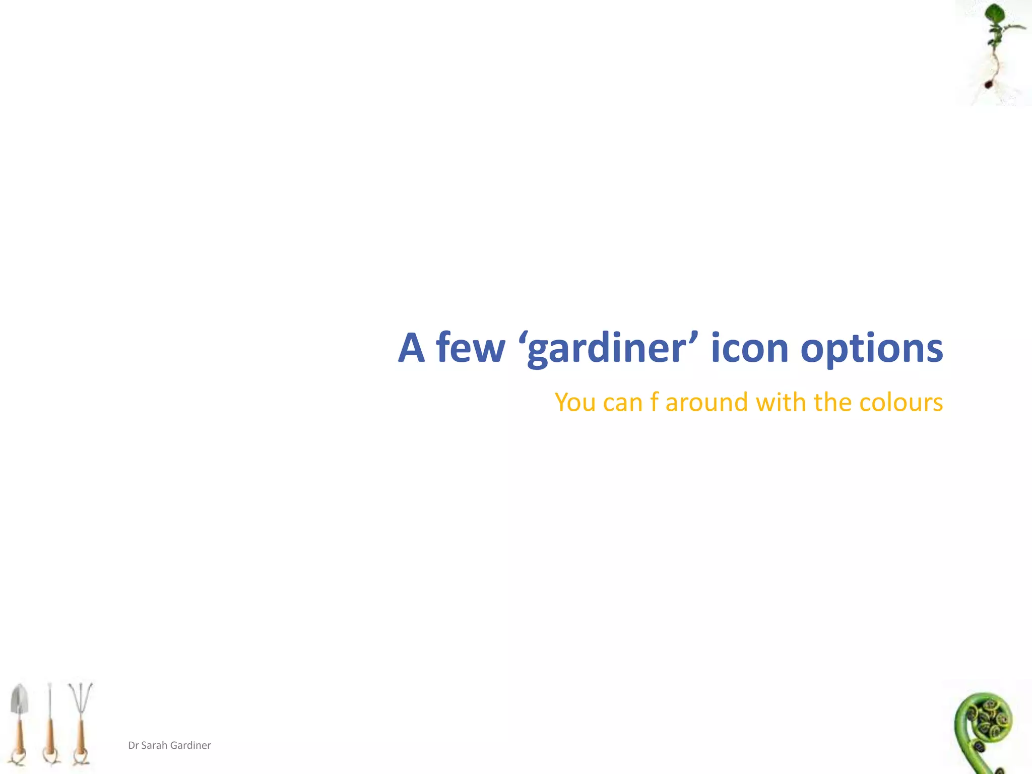 Dummy presentation template | PPTX