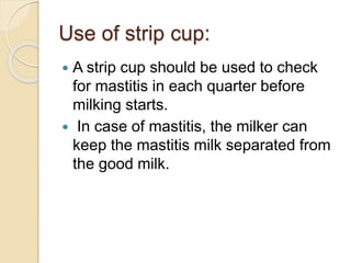 clean milk milk poduction modified.pptx