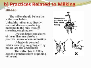 CLEAN MILK PRODUCTION | PPTX