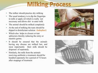 CLEAN MILK PRODUCTION | PPTX