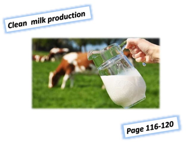 Clean milk production | PPTX