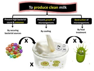Clean milk production | PPTX