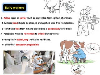 Clean milk production | PPTX