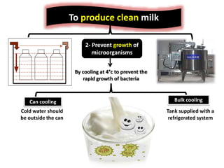 Clean milk production | PPT