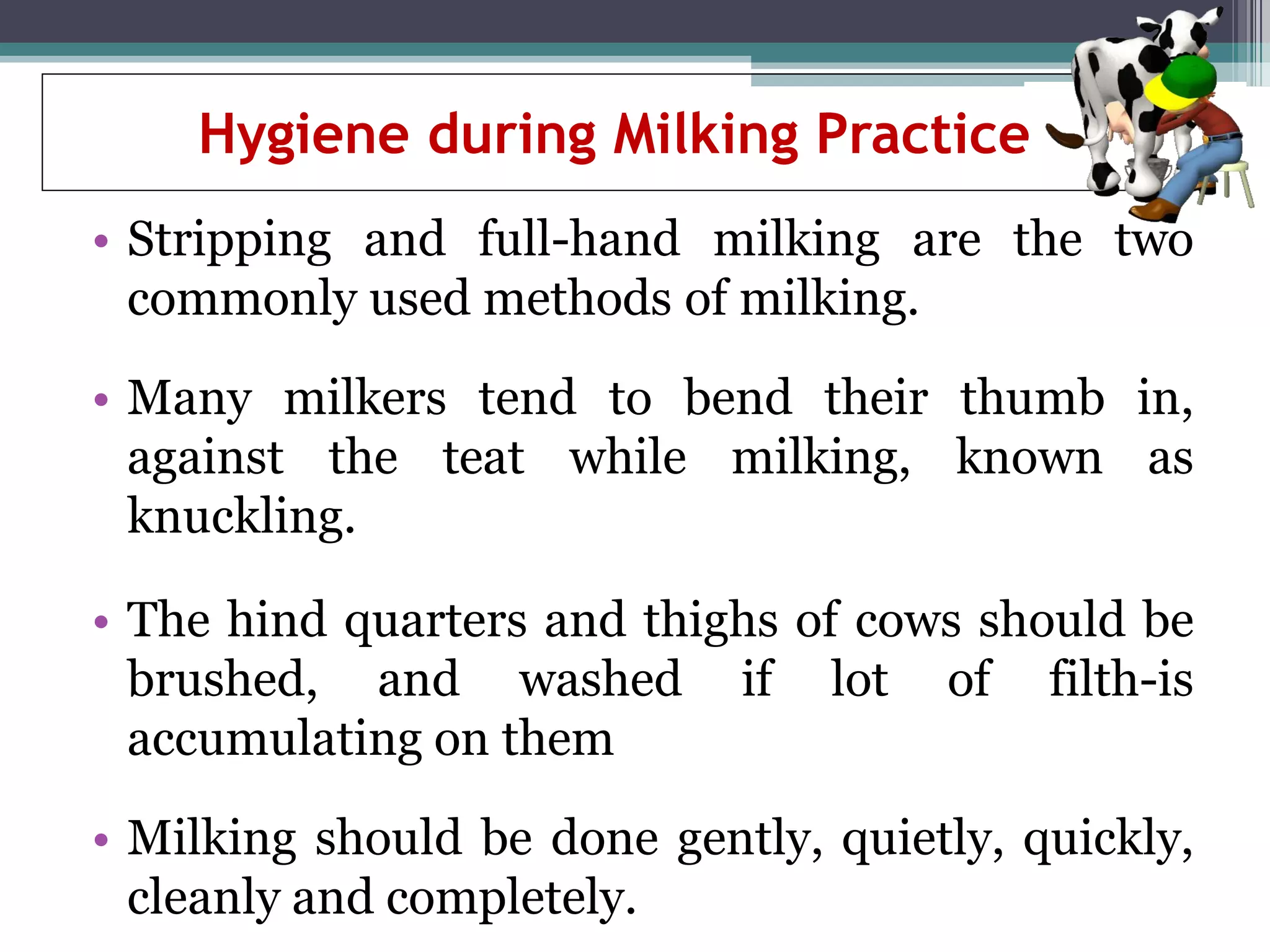 Clean milk production | PDF