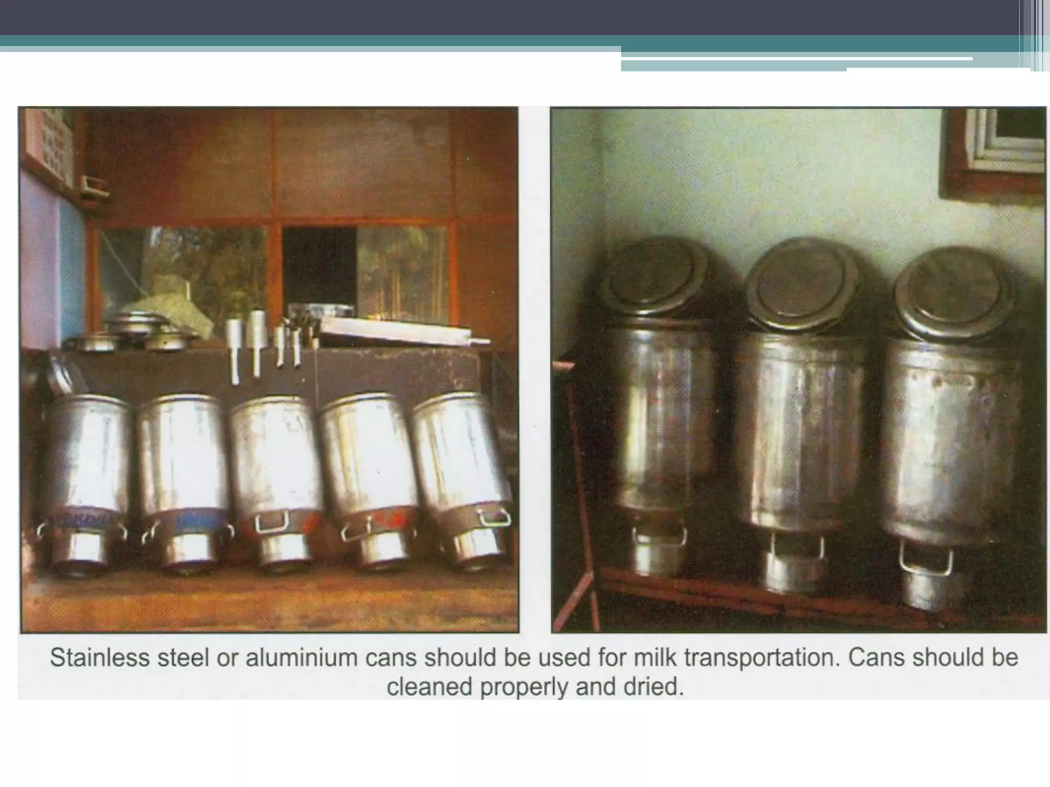 Clean milk production | PDF