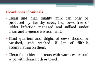 Clean milk production | PDF