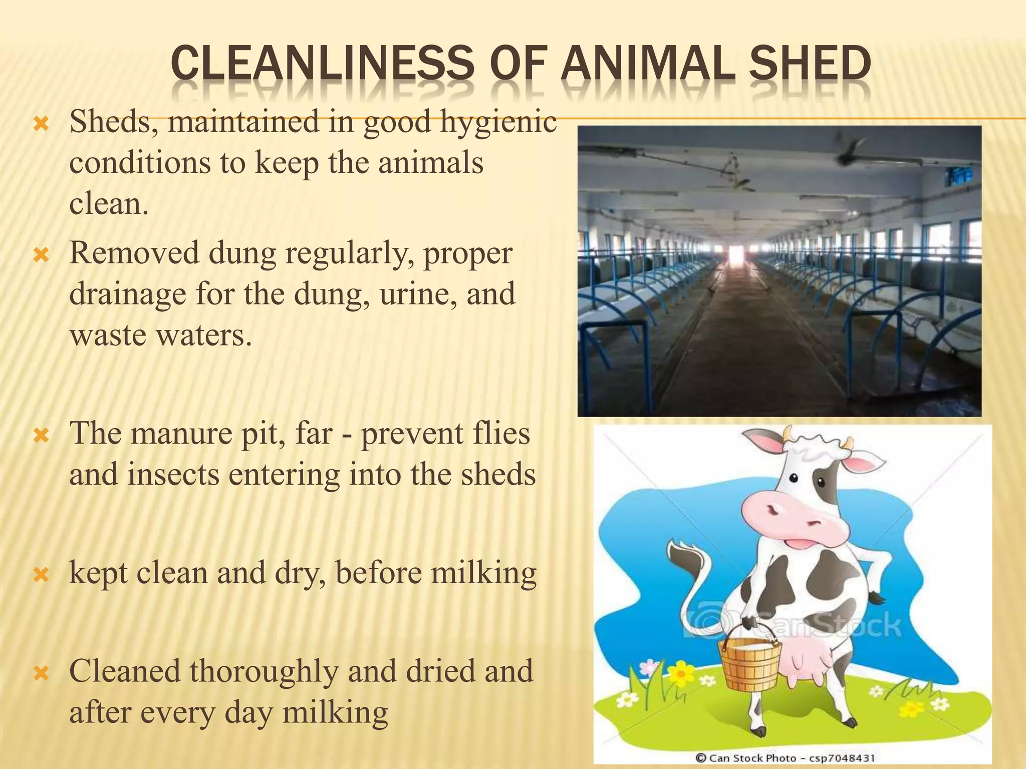 Clean Milk Production.pptx