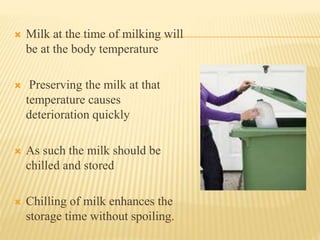 Clean Milk Production.pptx