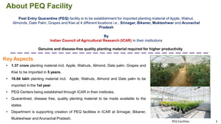 Clean Plant Programme.pptx