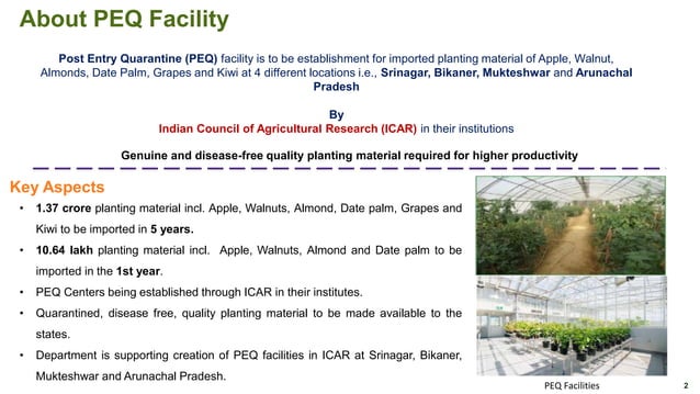 Clean Plant Programme.pptx