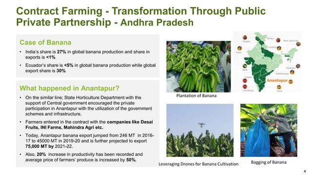 Clean Plant Programme.pptx