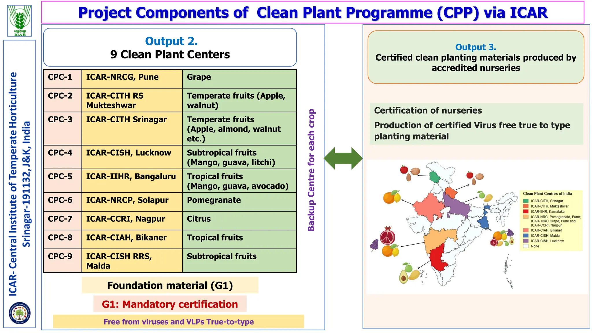 Clean plant program of India Dr MK Verma .pdf