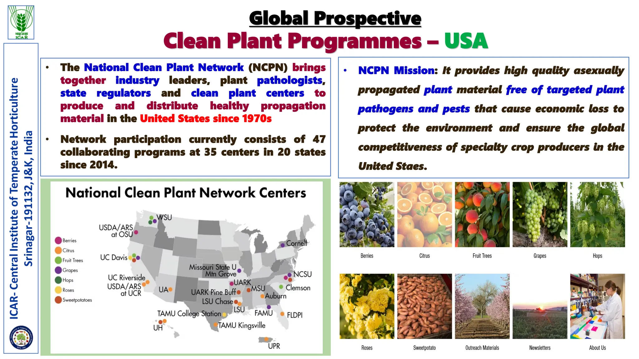 Clean plant program of India Dr MK Verma .pdf