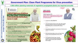 Clean plant program of India Dr MK Verma .pdf