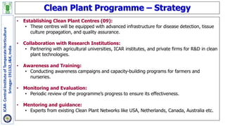 Clean plant program of India Dr MK Verma .pdf