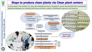 Clean plant program of India Dr MK Verma .pdf