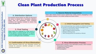 Clean plant program of India Dr MK Verma .pdf