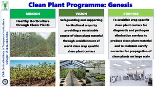 Clean plant program of India Dr MK Verma .pdf