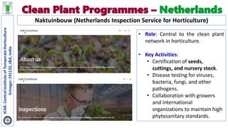 Clean plant program of India Dr MK Verma .pdf