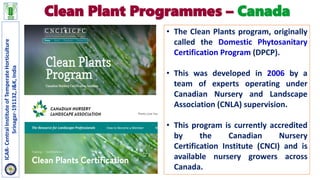 Clean plant program of India Dr MK Verma .pdf