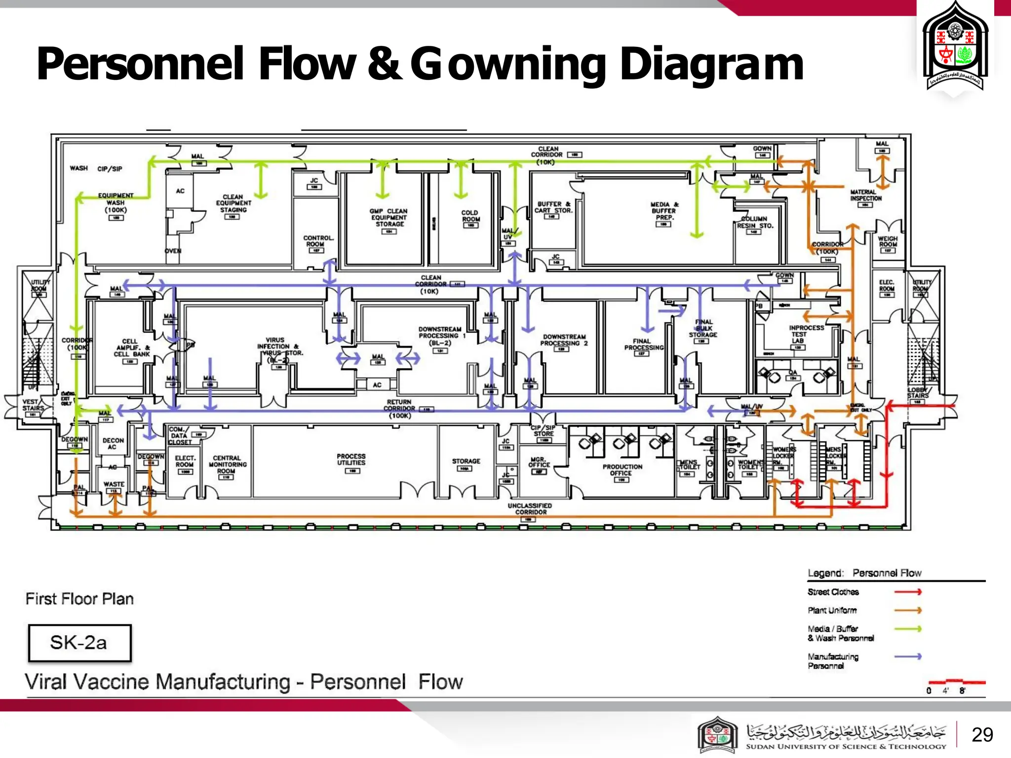 Clean Room Pharmaceutical_ GMP Procedures | PDF