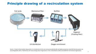 Clean tech in aquaculture | PPT