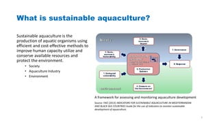 Clean tech in aquaculture | PPT